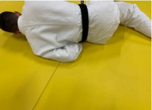 JBN-Judolink - Scores